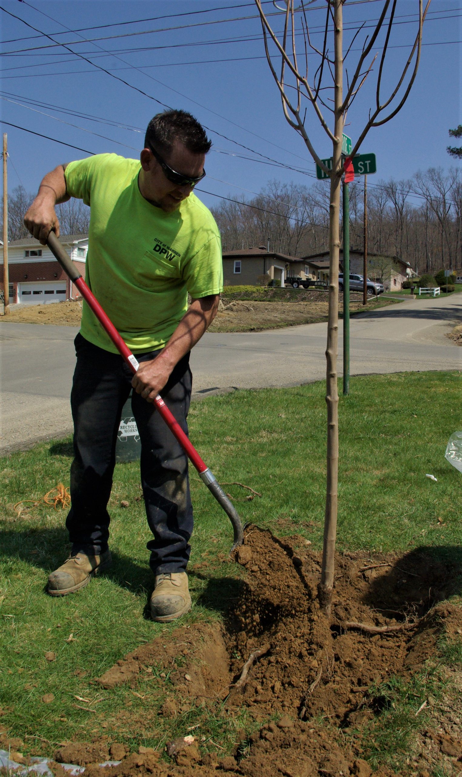 Putting Roots Down | News, Sports, Jobs - Times Observer